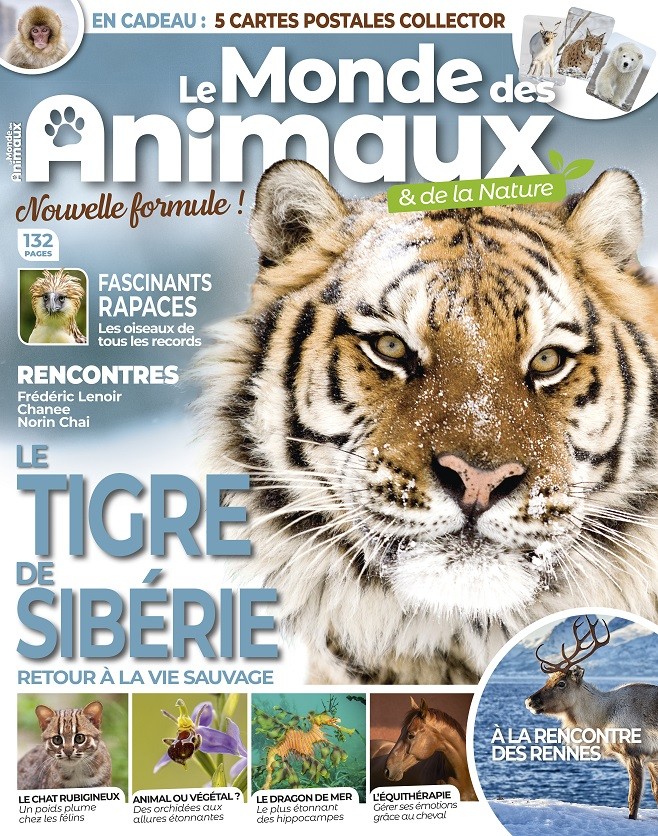 Le Monde des Animaux n°31 - Version numérique - MonMag