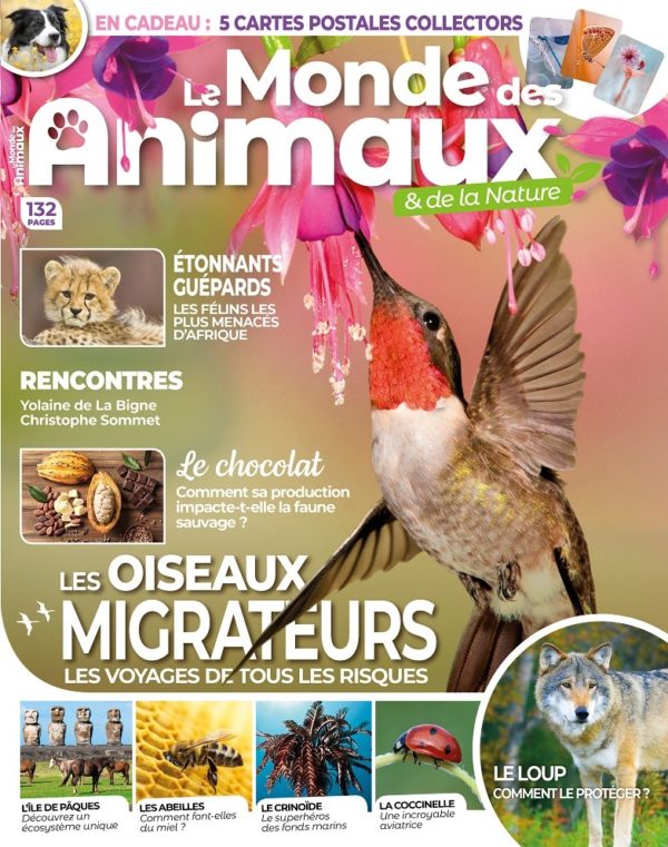 Le Monde des Animaux n°32 - Version numérique - MonMag