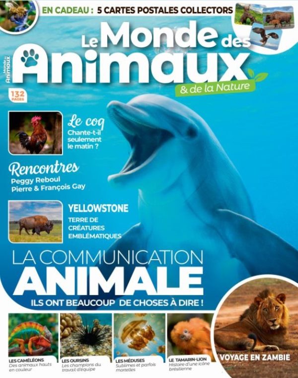 Le Monde des Animaux n°37 - MonMag