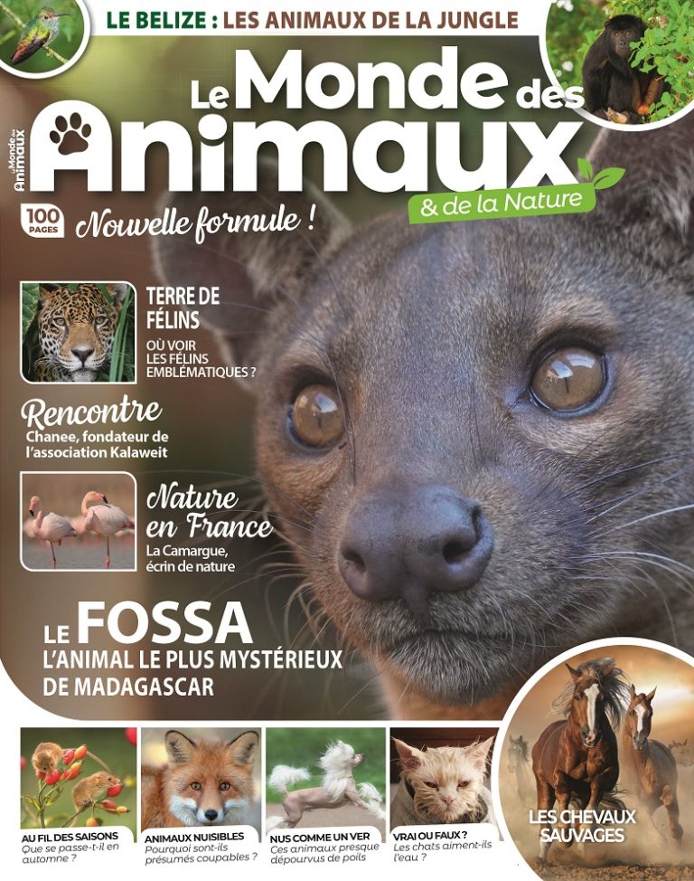 Le Monde des Animaux n°46 - Version numérique - MonMag